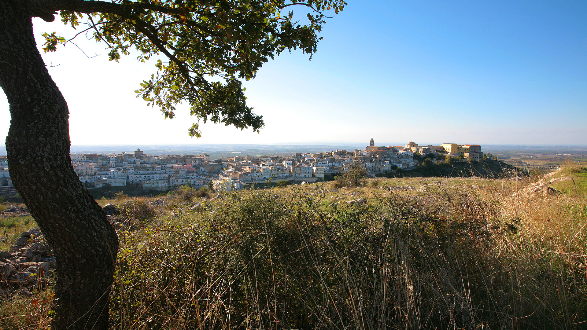 Castel Del Monte - Minervino Murge